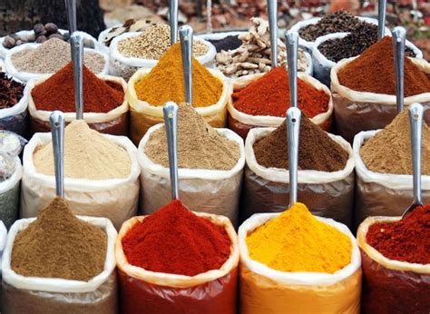 Classism Is Oppressive Limiting And Isolating But Sometimes Its Also Really Stupid For