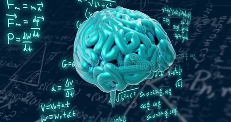 Brain Animation Over Mathematical Equations And Formulas Stock Footage Video Of Science