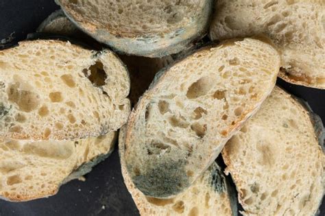 Moho En El Pan En Un Primer Plano De Fondo Negro Foto Premium