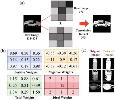 A Protocol For The Extraction Of CNNbased Features B Positive Download Scientific Diagram