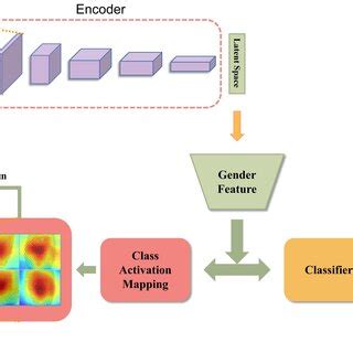 Methodologies Demonstrate The Original Fingerprint Images Will Walk Download Scientific