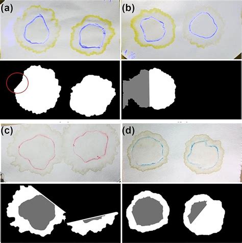 Examples Of Inaccurate Segmentation A Incomplete External