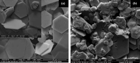 SEM Images Of A PbI2 Film And B PbI2 Sn Film The Inset Is SEM Image Of Download Scientific