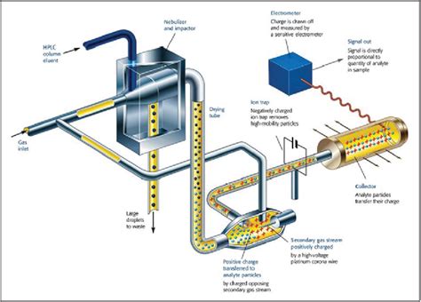 Figure 3 From A Validated Reverse Phase High Performance Liquid Chromatography Charged Aerosol