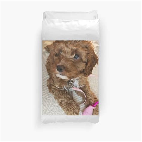 Cockapoo Dogs Duvet Covers Redbubble