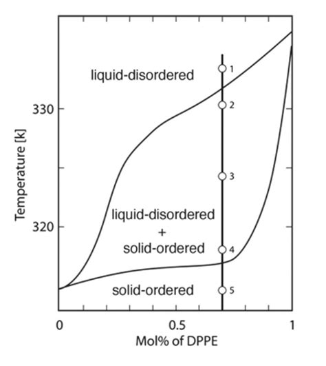 Solved The Lipids Dppc And Dppe Shown Below Differ Only In