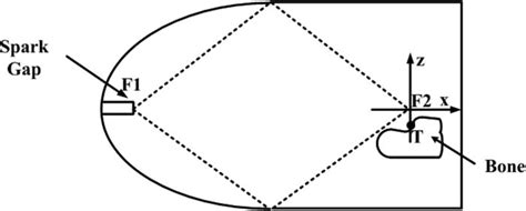 Finite Element Modeling Of Acoustic Wave Propagation And Energy Deposition In Bone During