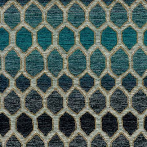 Shield Beetle Rene Cazares