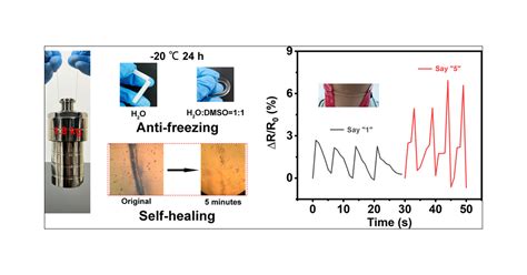 Highly Robust Sensitive Antifreezing And Drying Tolerant Polyacrylamidegelatinzr4