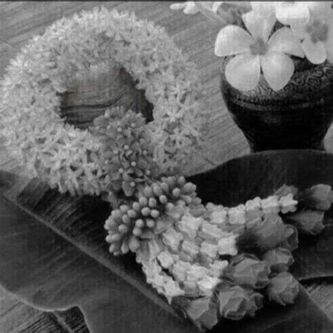 ตามรอยยุคลบาทในหลวงรัชกาลที่ ๑ กันยายน พ ศ ๒๕๐๘ พระบาทสมเด็จพระบรมชนกาธิเบศร มหาภูมิพลอดุลย