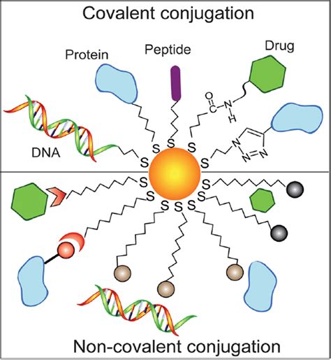 Conjugation Strategies Of Gnps Through Covalent And Non Covalent