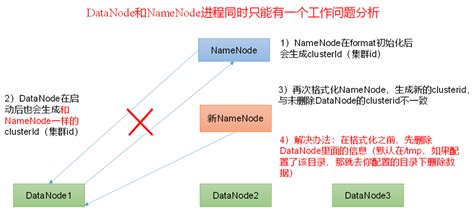Linux安装jdk及hadoop运行环境搭建hadoop的部署和启动运行2、掌握linux环境下安装jdk的方法 Csdn博客