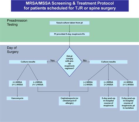 The Persistence Of Staphylococcus Aureus Decolonization After Mupirocin