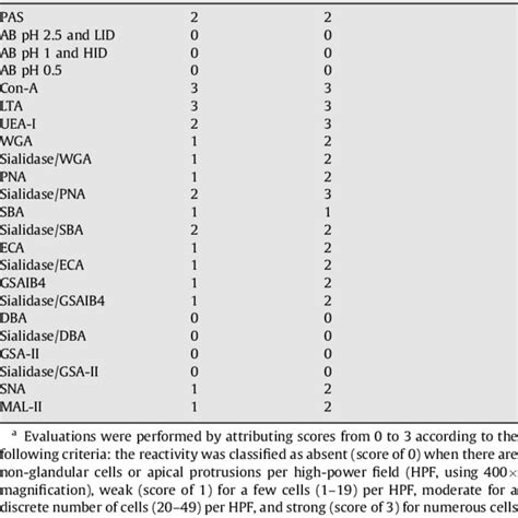 Lectin Binding Patterns In The Interdigital Glands Of Fallow Deer A Download Table