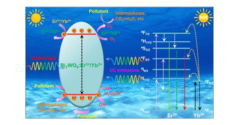 Designing Polychromatic Er3 Yb3 Codoped Bi2wo6 Upconverting Nanoparticles With Enhanced