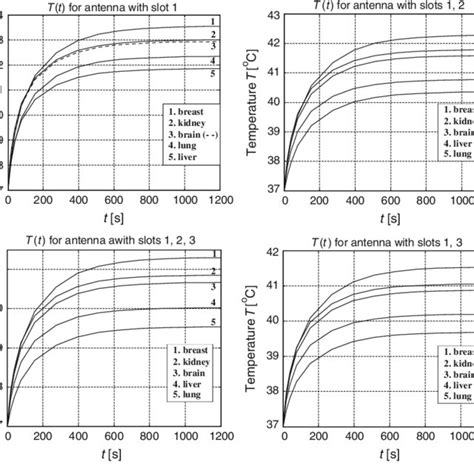 Examples Of Transient Temperature Distributions For Various Human