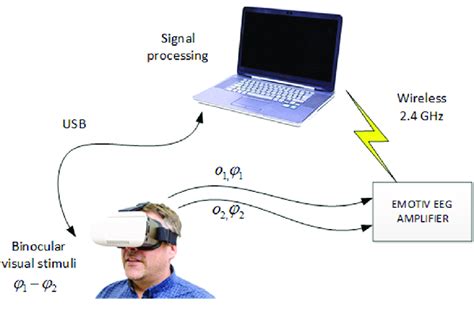 The Basic Experimental Setup Using Binocular Phase Coded Visual Stimuli