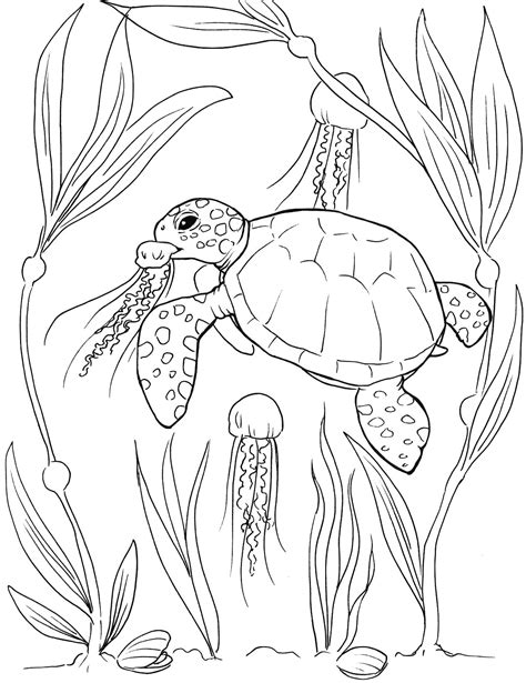 Sea Turtle Coloring Page