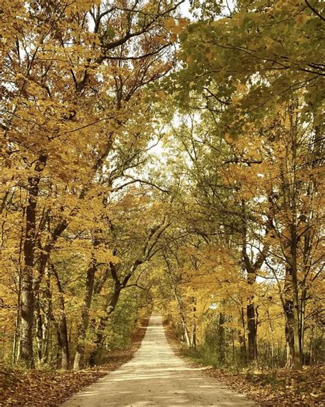Best 12 7 Cant Miss Colorful Scenic Drives In West Michigan This Fall