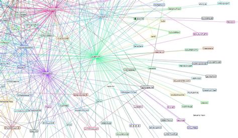 the simple guide to bitcoin s lightning network