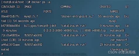 Docker Run之后 Docker Ps 不显示运行中的容器 Toy模板网