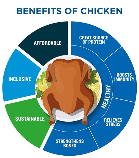 The Future Of Chicken Poultry Beyond 2050 Poultry World