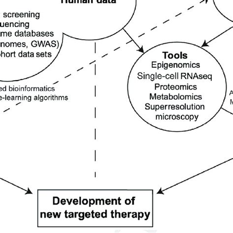 Advances Made In Podocyte Research Access To Human Database And Download Scientific Diagram