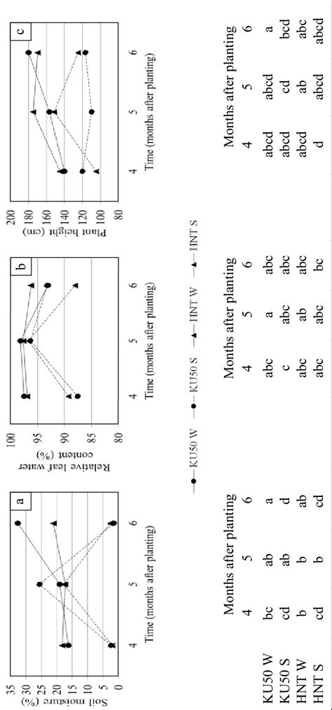 Interaction Effects For Cassava Varieties Kasetsart 50 Ku50 And