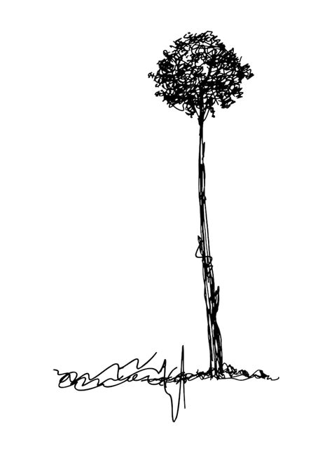 Premium Vector Vector Hand Drawn Tree