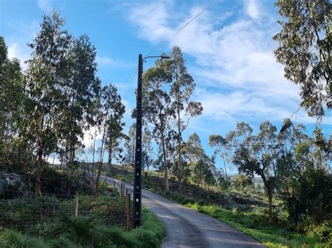 Expansão Da Iluminação Pública