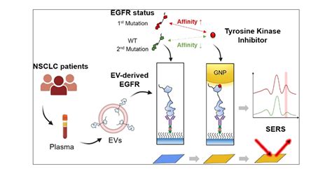 Nanoplasmonic Detection Of Egfr Mutations Based On Extracellular
