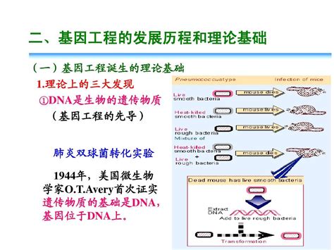 基因工程概论 Word文档在线阅读与下载 无忧文档