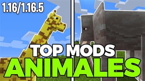 Krypton Mod Optimize The Minecraft Networking Stack 52 Off