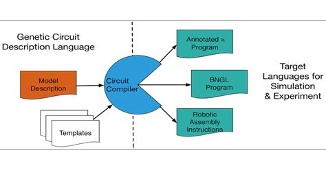 A Genetic Circuit Compiler Generating Combinatorial Genetic Circuits With Web Semantics And