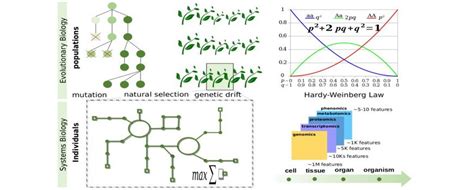 Evolutionary Systems Biology Priority Research Area At The University Of Potsdam Research
