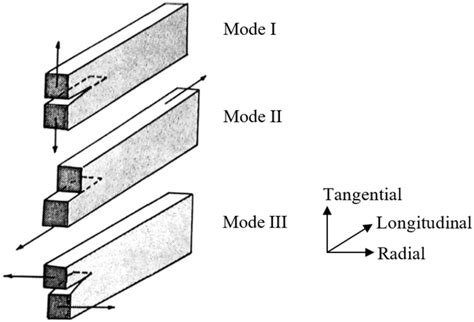 Representation Of Fracture Modes I Ii And Iii Described As Opening Or Download Scientific