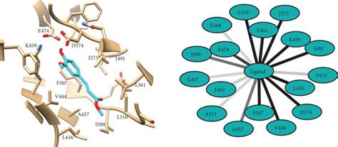 Predicted Binding Modes Of Compound 7 To St Pk A Ts B And Qr C