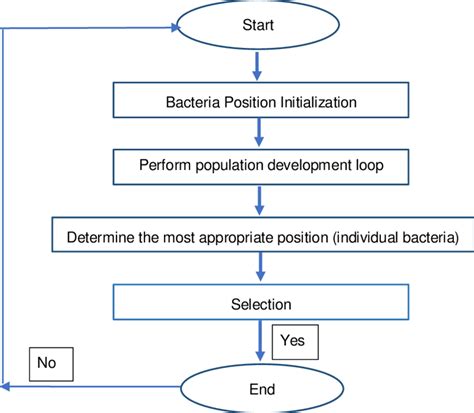 Bfo Algorithm Flowchart For Calculating Co Ordinate Search Route For