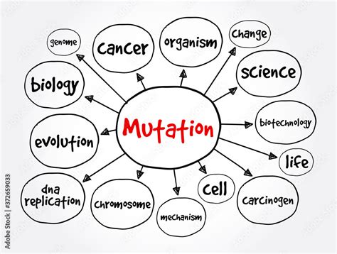 Mutation Mind Map Concept For Presentations And Reports Stock Vector Adobe Stock