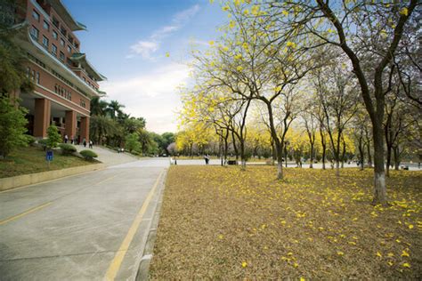 华南农业大学图片素材 华南农业大学设计素材 华南农业大学摄影作品 华南农业大学源文件下载 华南农业大学图片素材下载 华南农业大学背景素材 华南农业大学模板下载 搜索中心