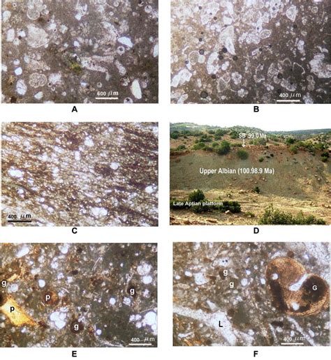 Photomicrographs Of Thin Sections Illustrating Different Carbonate