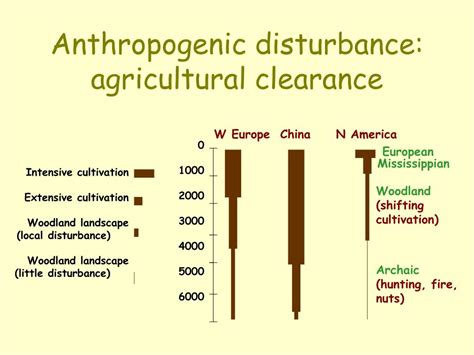 Ppt Temperate Deciduous Mesophytic Forests Powerpoint Presentation Id 365926