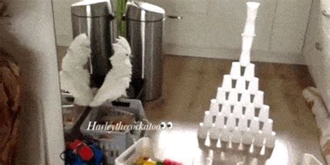 When My Partner Asks Me To Test The Feature He Just Coded The Coding Love Programmer Humor