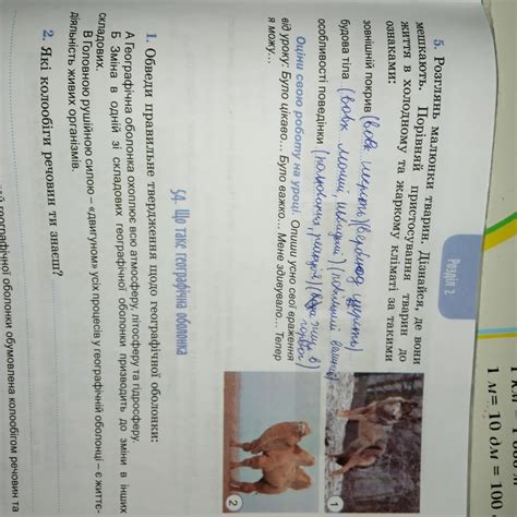 Розділ 2 5 Розглянь малюнки тварин Дізнайся де вони мешкають