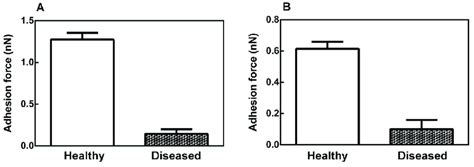 Afm Maps And Histograms Of The Adhesion Force Between The Tip And The Download Scientific
