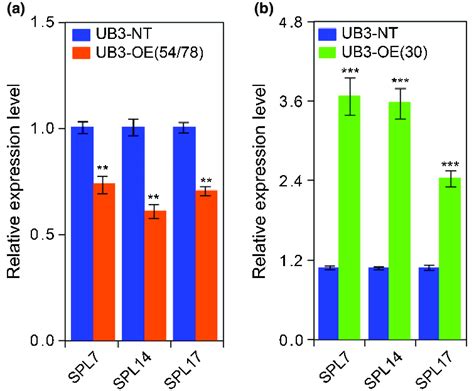 Relative Expression Levels Of Spl Genes In Young Panicles Of Ub3 Oe Download Scientific Diagram