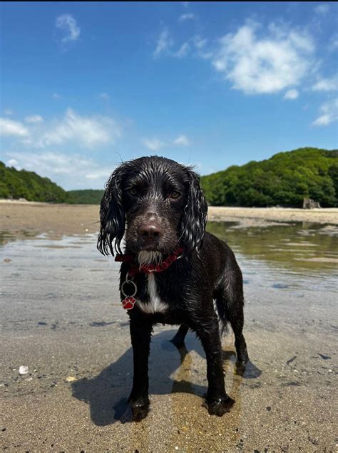 Beach Day Mark Pulman