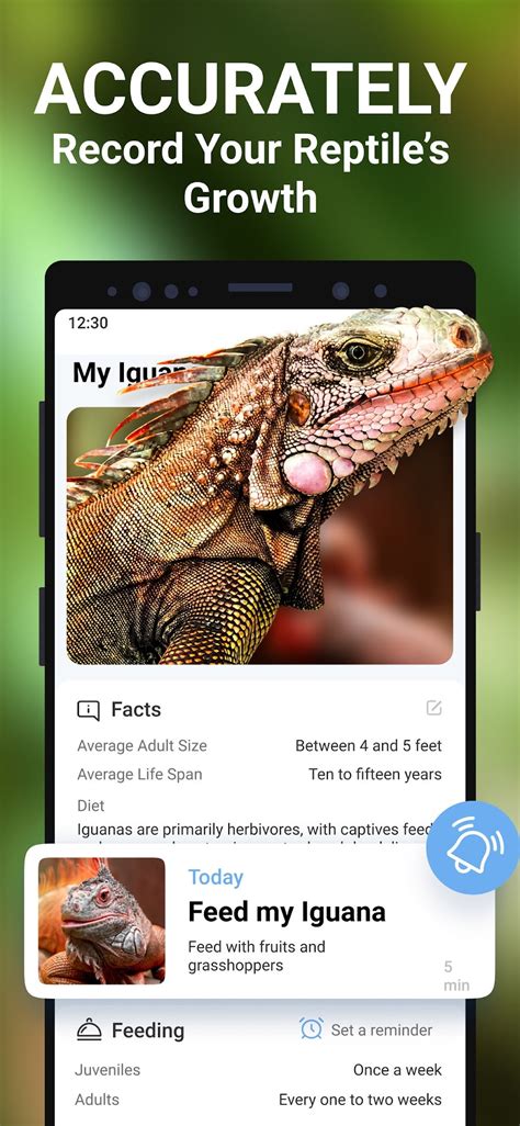 Snake Identifier Reptiles Id For Android Download