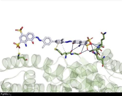 Pymol作对接图第2版（3min快速做图） 知乎