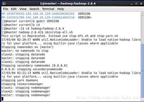 linux下的hadoop配置 sbin start all sh datanode守护进程启动失败 解决方案 为什么切进sbin中无法